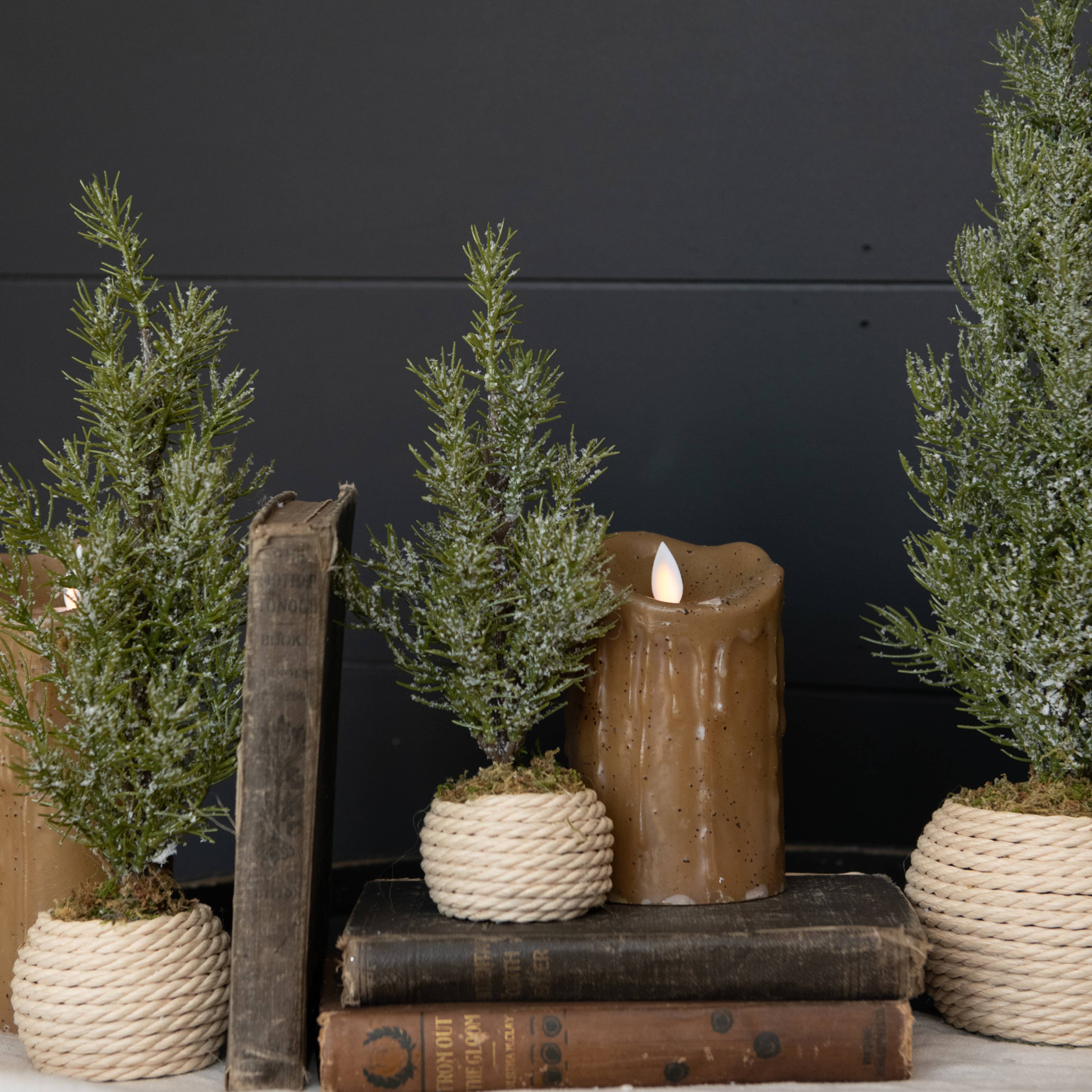 12.25" VERBIER TREE IN POT – Sugarwood Interiors